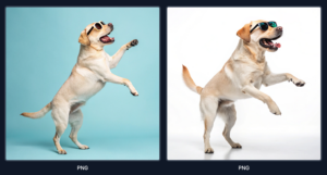 Unleashing Creativity with Dream AI Image Generation - MyDesigns